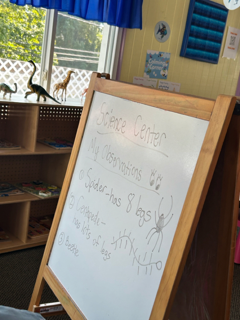 Preschool – Little Fish ELC